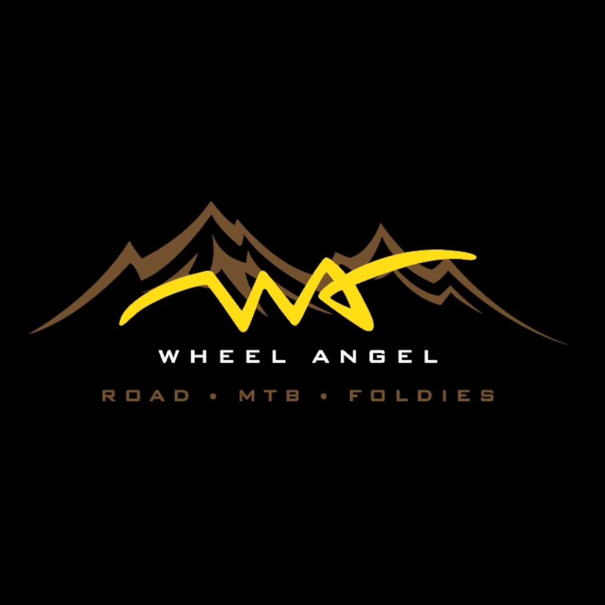 SLX Carbon Spokes Series – Wheel Angel Singapore